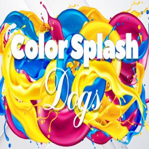 Comprar Color Splash Dogs CD Key Comparar Preços